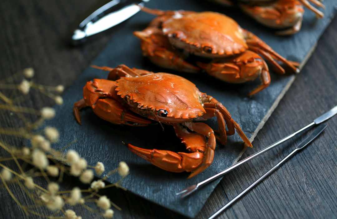Cara Makan Kepiting yang Kaya Gizi secara Tepat dan Praktis - Info ...